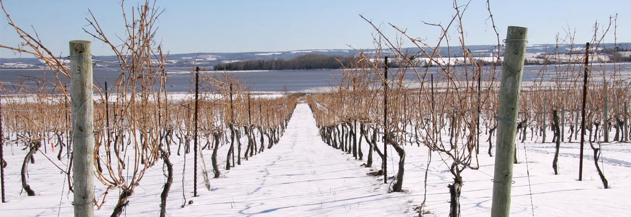 The Art of Winter: Wine, Craft Beer & Spirits to Warm You Up | Bishop's ...