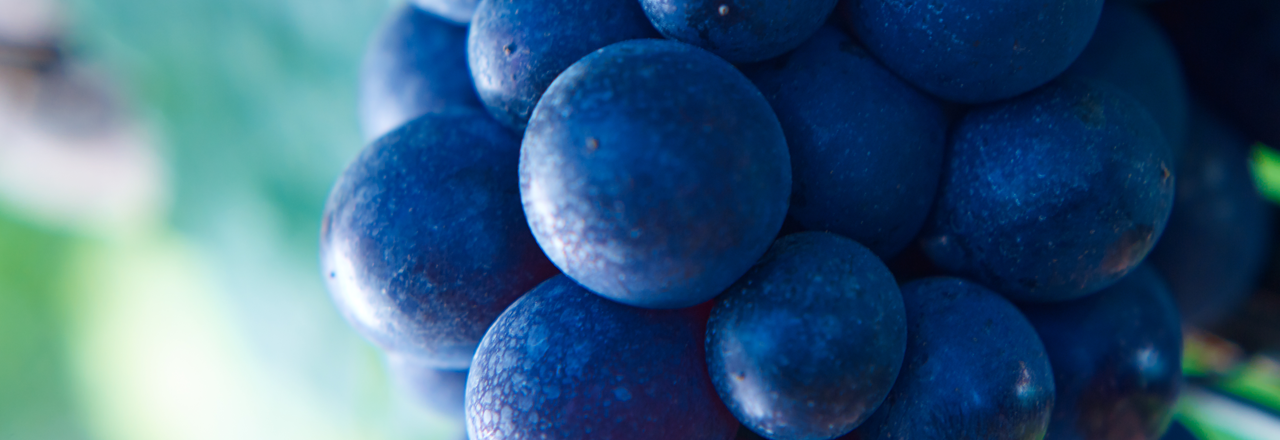 Weird and Wonderful Grapes- SOLD OUT | Bishop's Cellar