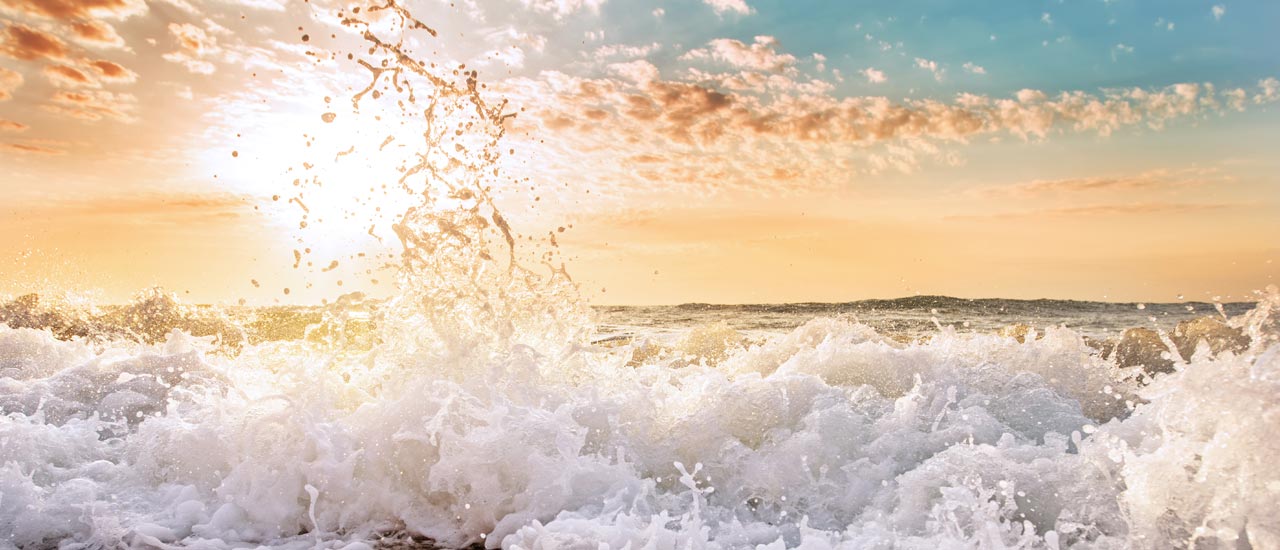 A Fresh Vintage of Nova Scotia’s Tidal Bay Wines | Bishop's Cellar