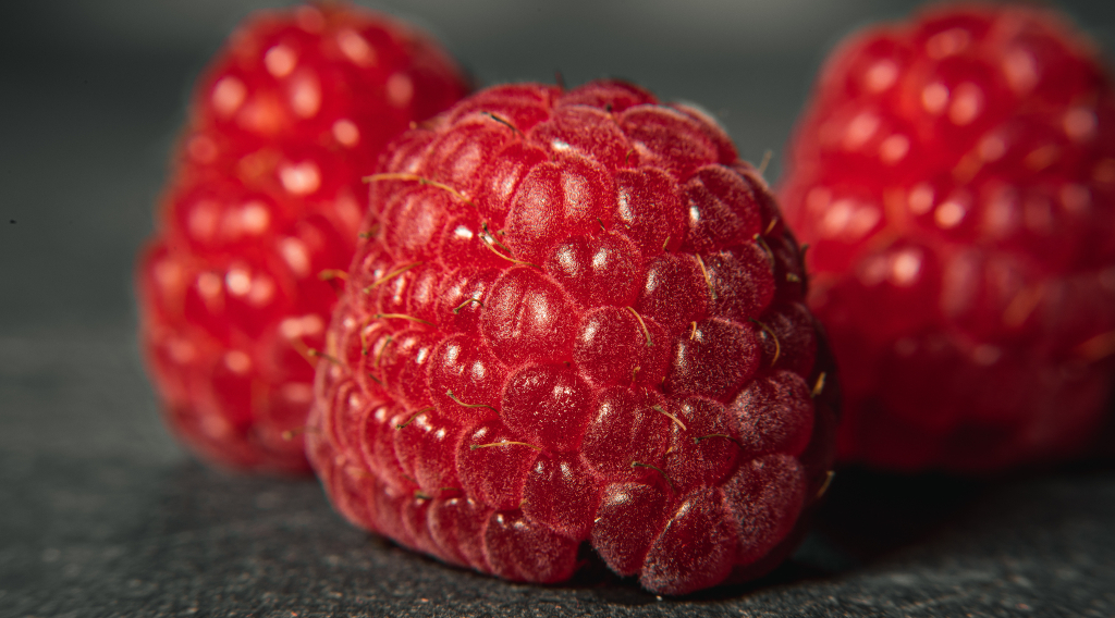 Sour Power: Inside This Summer’s Hottest Beer | Bishop's Cellar