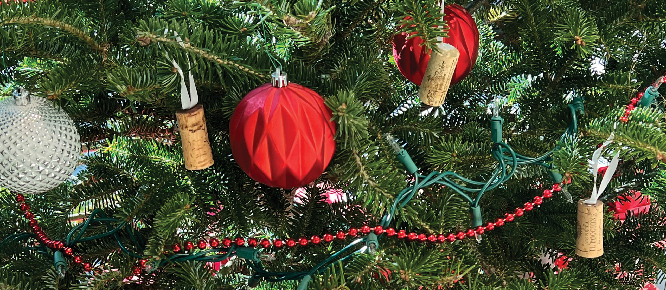 FREE Wine Tasting w/ Alanna: Piedmont Experience | Bishop's Cellar